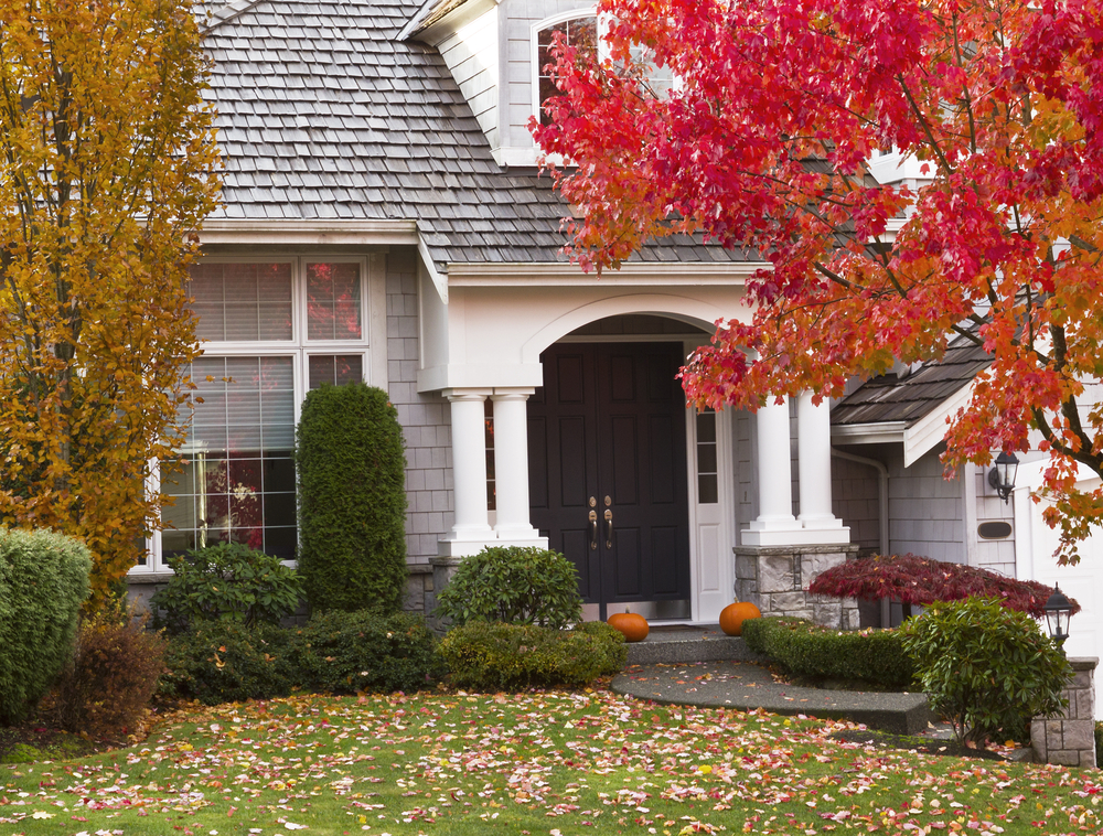 Autumn Maintenance Checklist: Tips to Get Ready for Winter